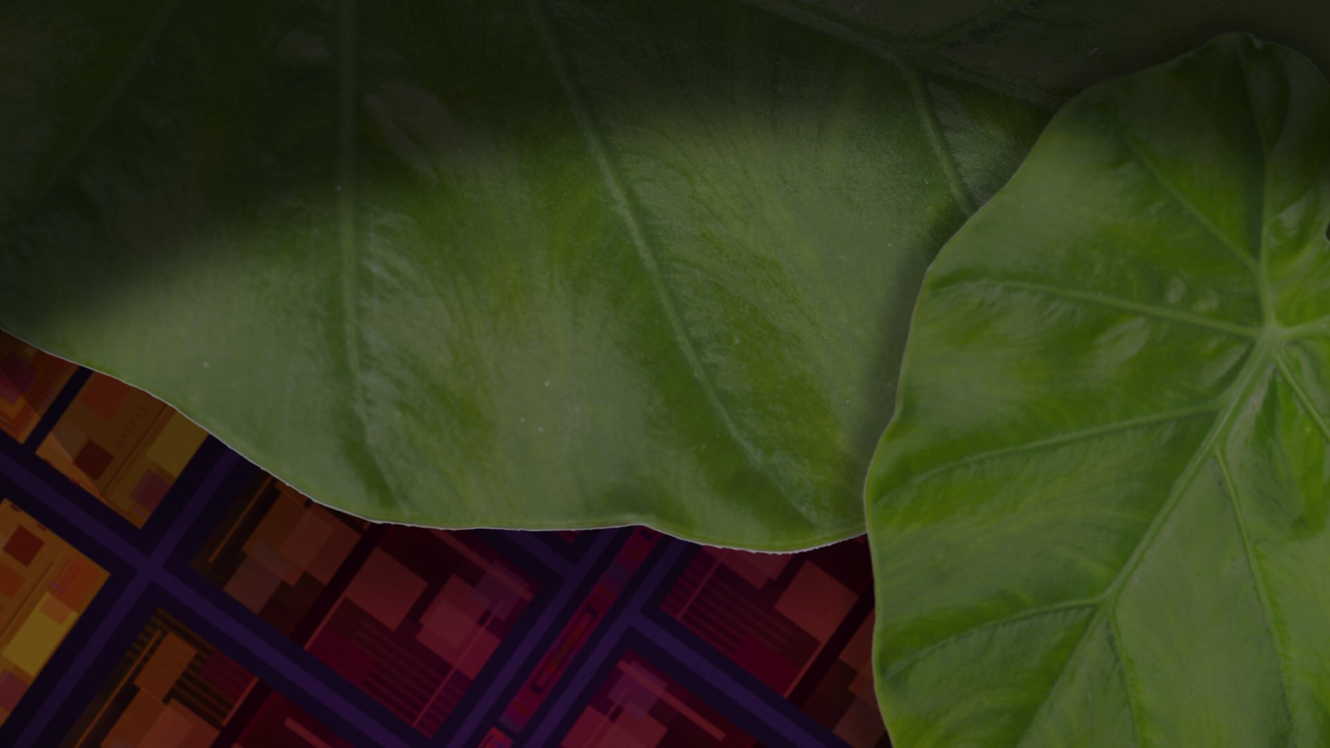 Corporate Social Responsibility (CSR) | AMD