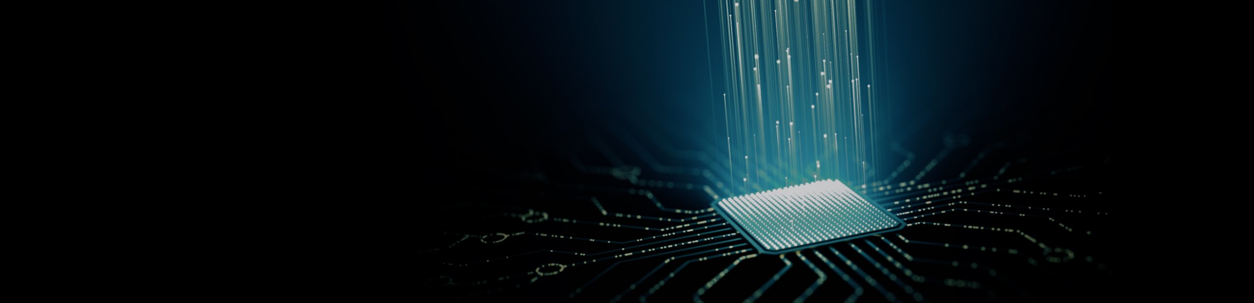 Partner Resources & Information