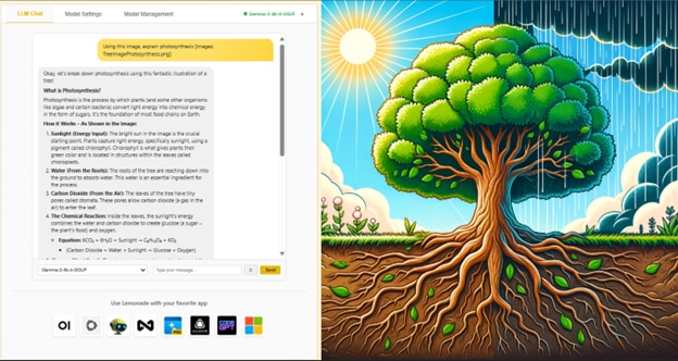 Ryzen AI and Radeon are ready to run LLMs Locally with Lemonade Software