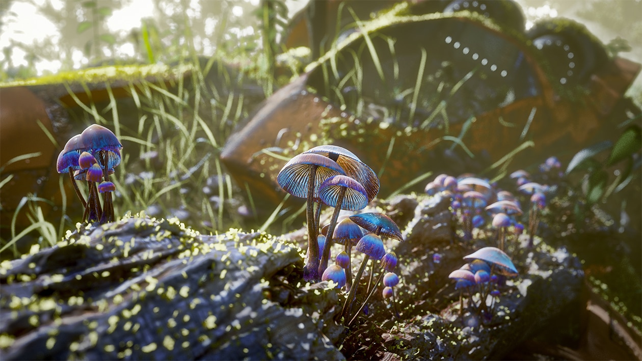 AMD Radeon™ ProRender